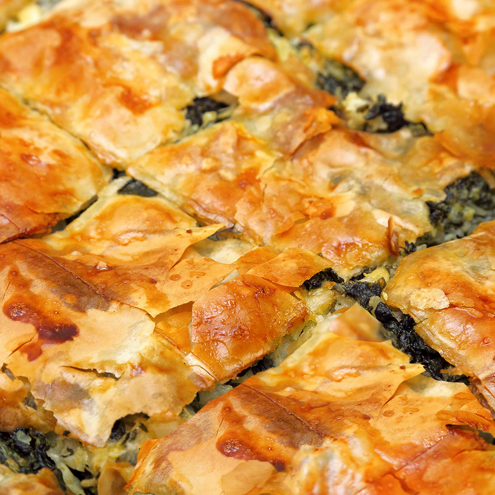 Spanakopita DAILY BREAD